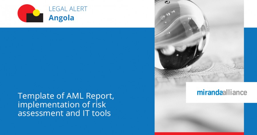 Template of AML Report, implementation of risk assessment and IT tools ...